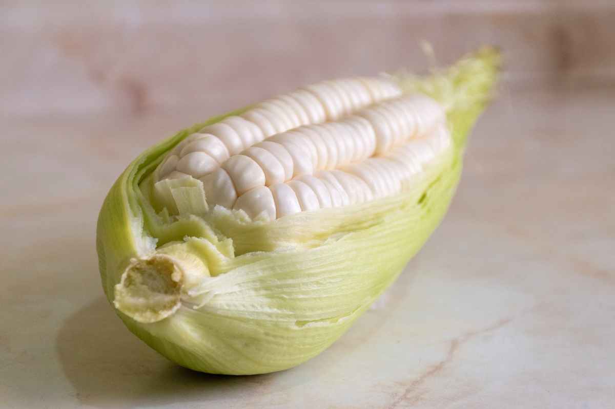 Stratus COBOL Material – Srinimf